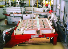 Almex USA - Aluminum Casthouse Products